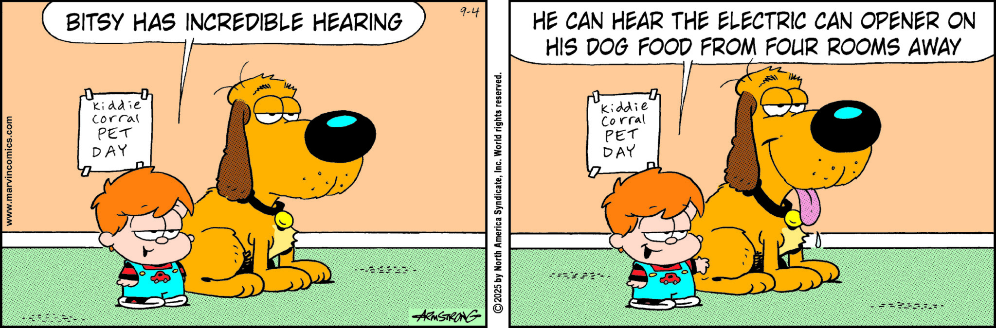 Marvin by Tom Armstrong