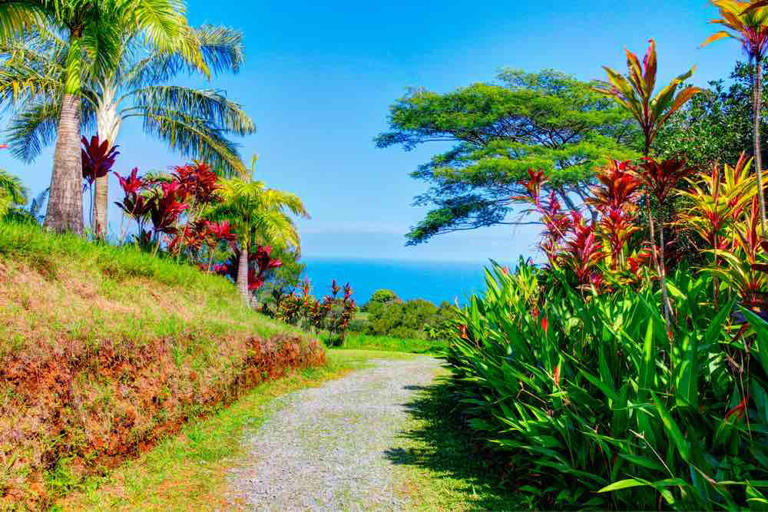 Road to Hana: 16 Things to Know Before You Go (2026 Guide)