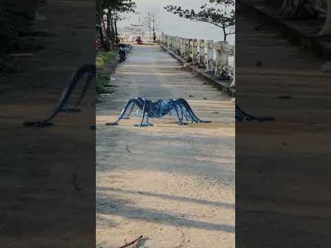 A spider on the beach. No, it's made by Blender