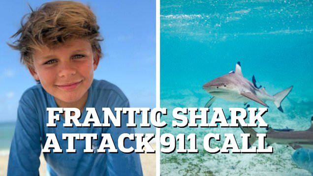 Frantic 911 call as boy rescued from horror shark attack in Florida