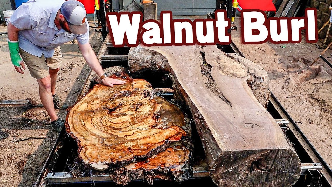 Watch this log become art