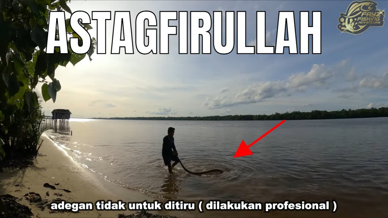 Memancing Ikan Hias Muara untuk Pajangan dalam Perut