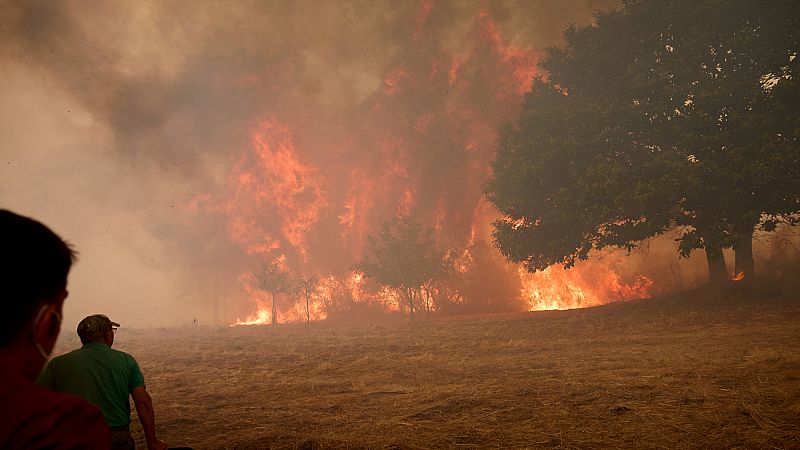 Climate change fuelled wildfires of 'unprecedented intensity' in Spain ...