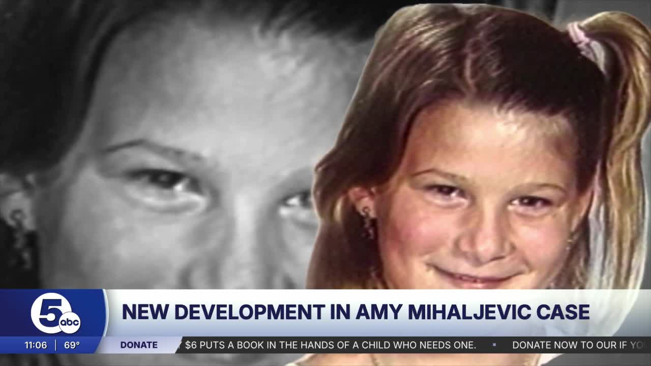 One of Northeast Ohio's most high-profile kidnapping, murder cold cases ...