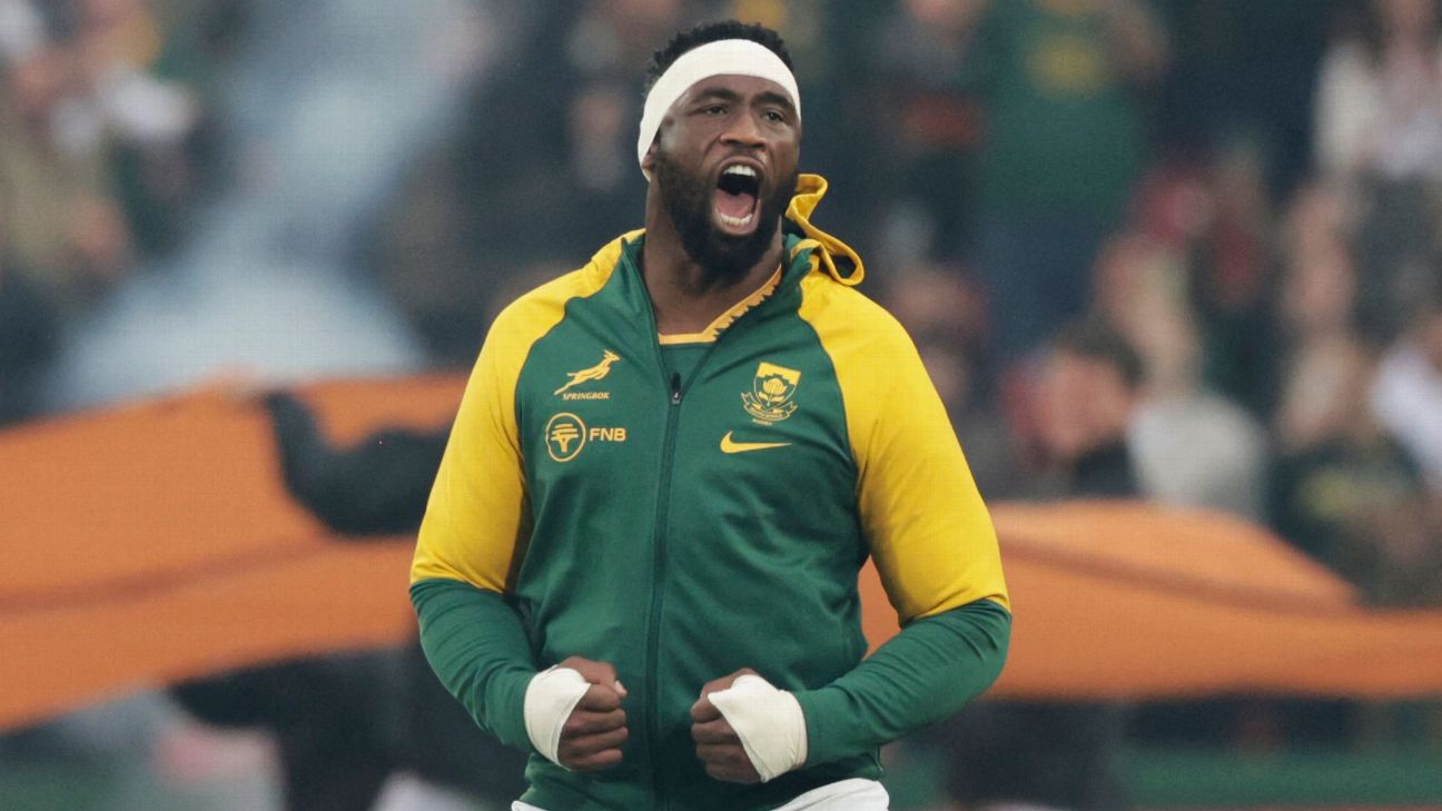 New Zealand vs South Africa - Springboks name powerhouse side to face ...