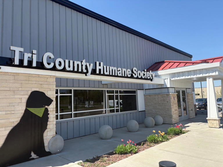 Tri-County Humane Society initiative doubles cat adoptions, eyes ...