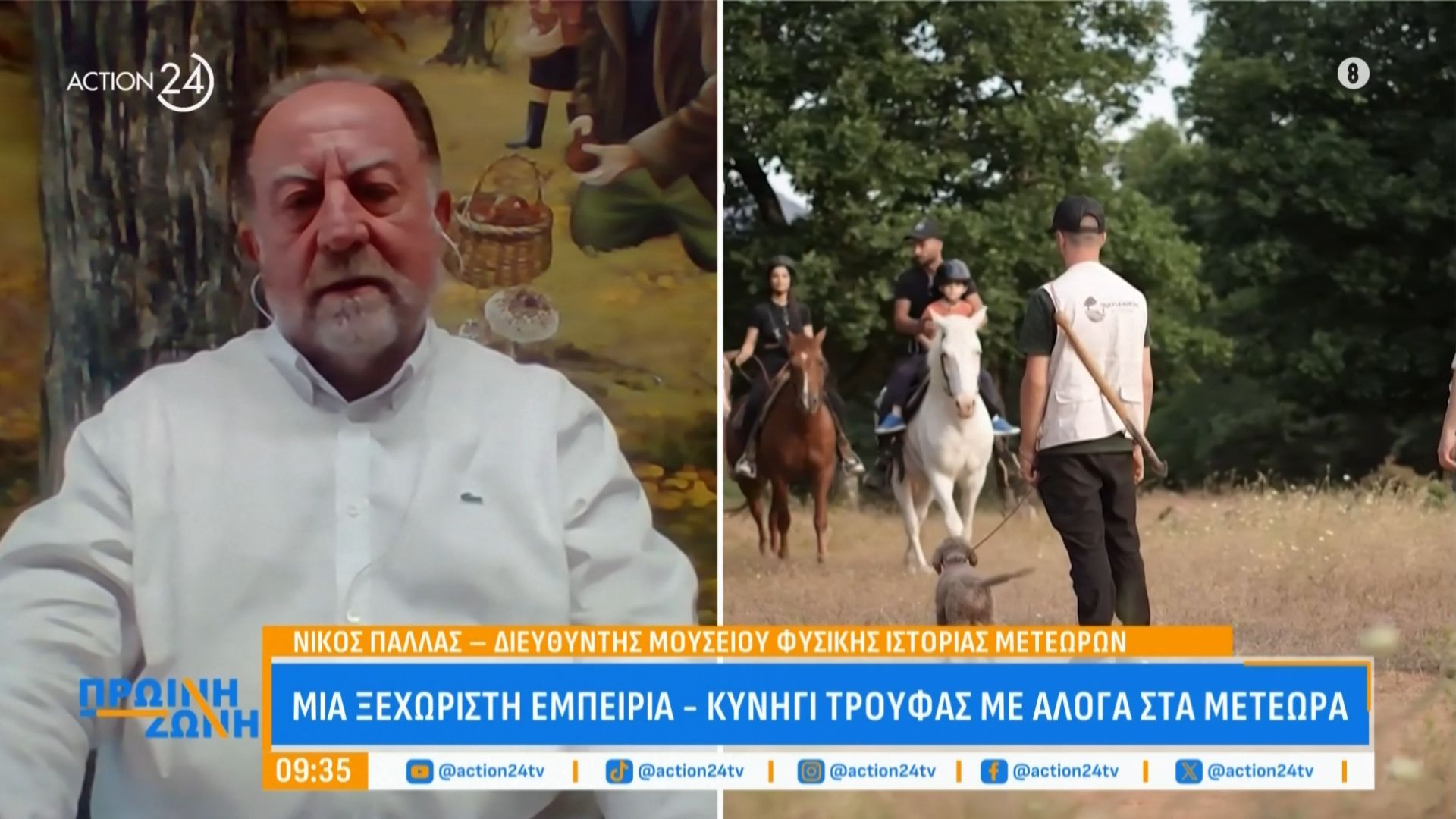«Κυνήγι» τρούφας με άλογα στα Μετέωρα: Όλες οι λεπτομέρειες για μια ...