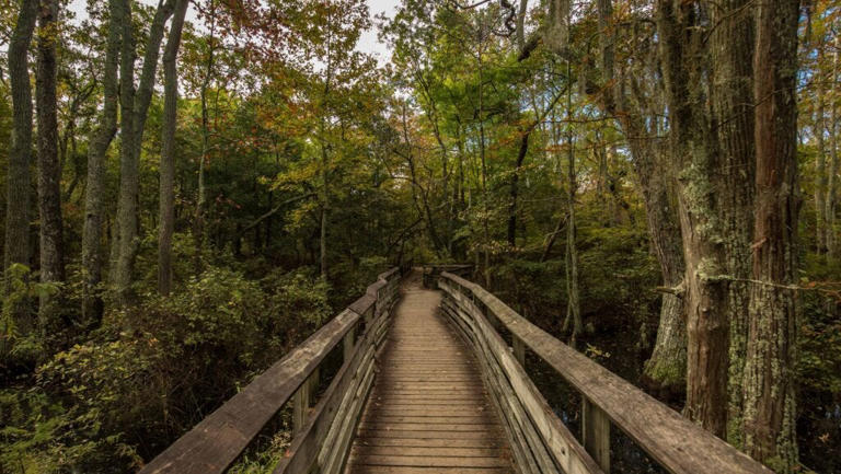 10 family-friendly beach towns perfect for a fall getaway