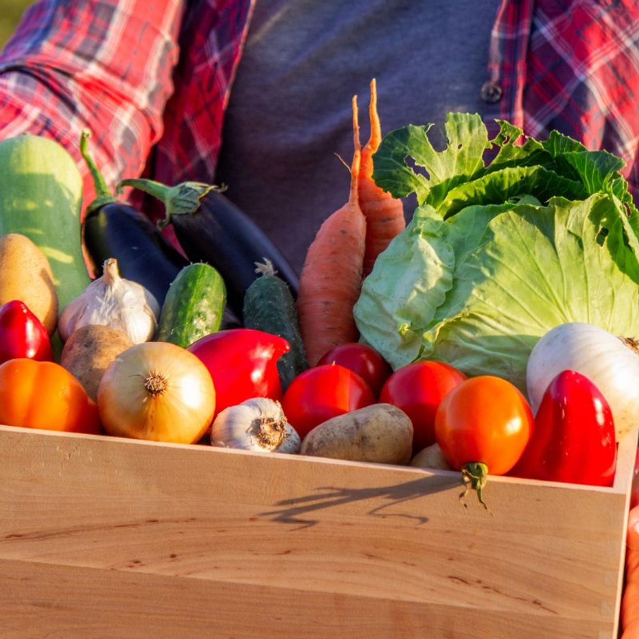 Ramasser des fruits et légumes en Île-de-France c'est maintenant ...