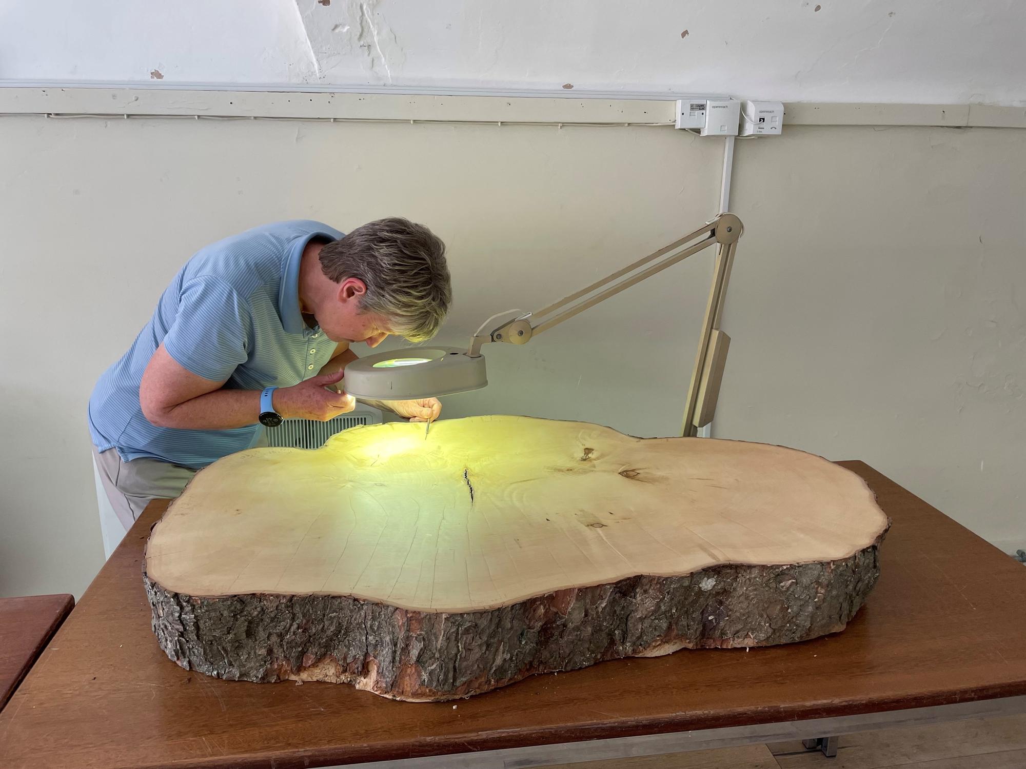 Sycamore Gap Tree's true age: Study by Historic England reveals how old ...
