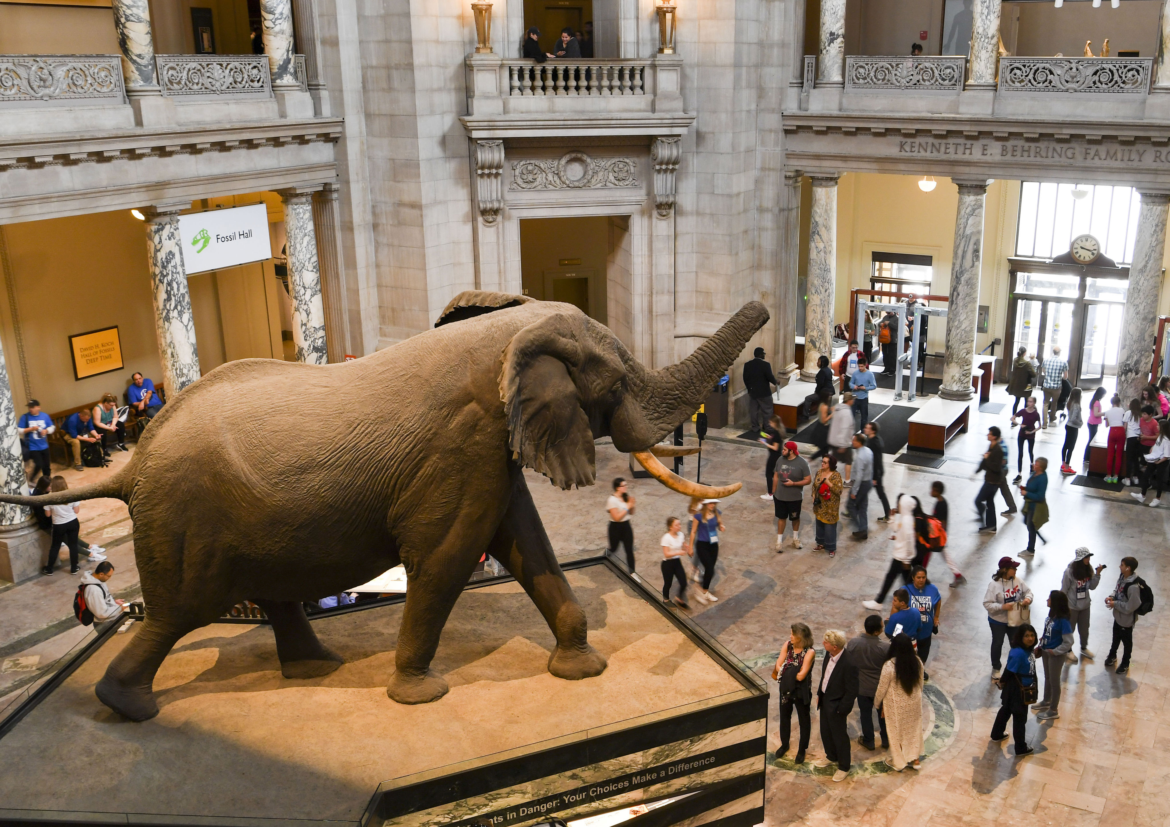 Smithsonian responds to Trump’s push to review ‘divisive narratives’