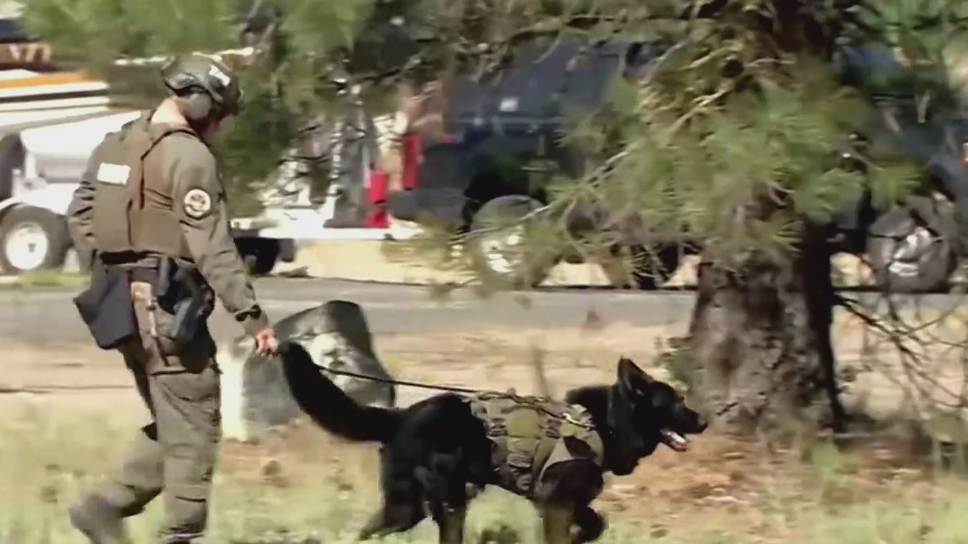 FBI gives update on bones found in search for father accused of killing ...