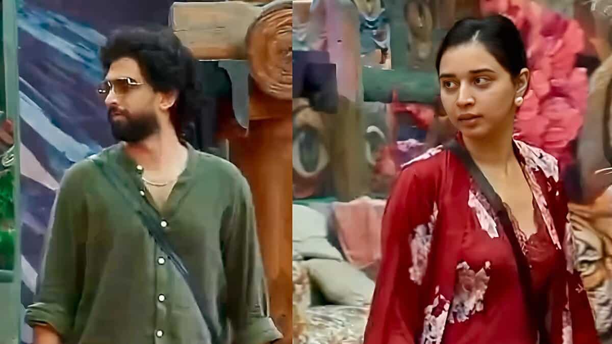 Bigg Boss 19: Amaal Malik’s ‘hitting gesture’ at Tanya Mittal after an ugly argument sparks debate