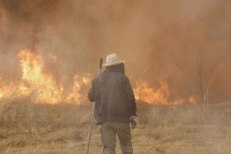 Climate change made heat and dryness that fueled Iberian wildfires 40 ...