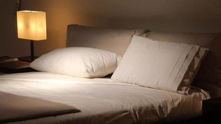 How to check for bed bugs in your home: Signs, inspection tips, and ...