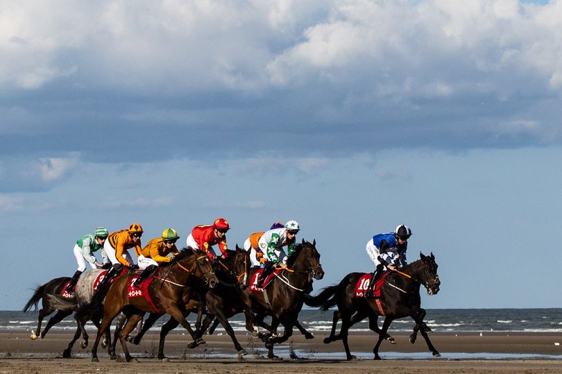 Horse aiming to make history after travelling 900km to Laytown Races