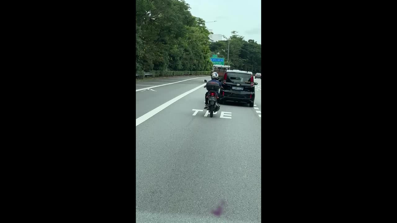 Pigeon flies alongside motorcycle rider on busy road