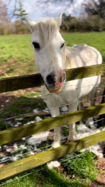 Who Said Age Can’t Be Charming?