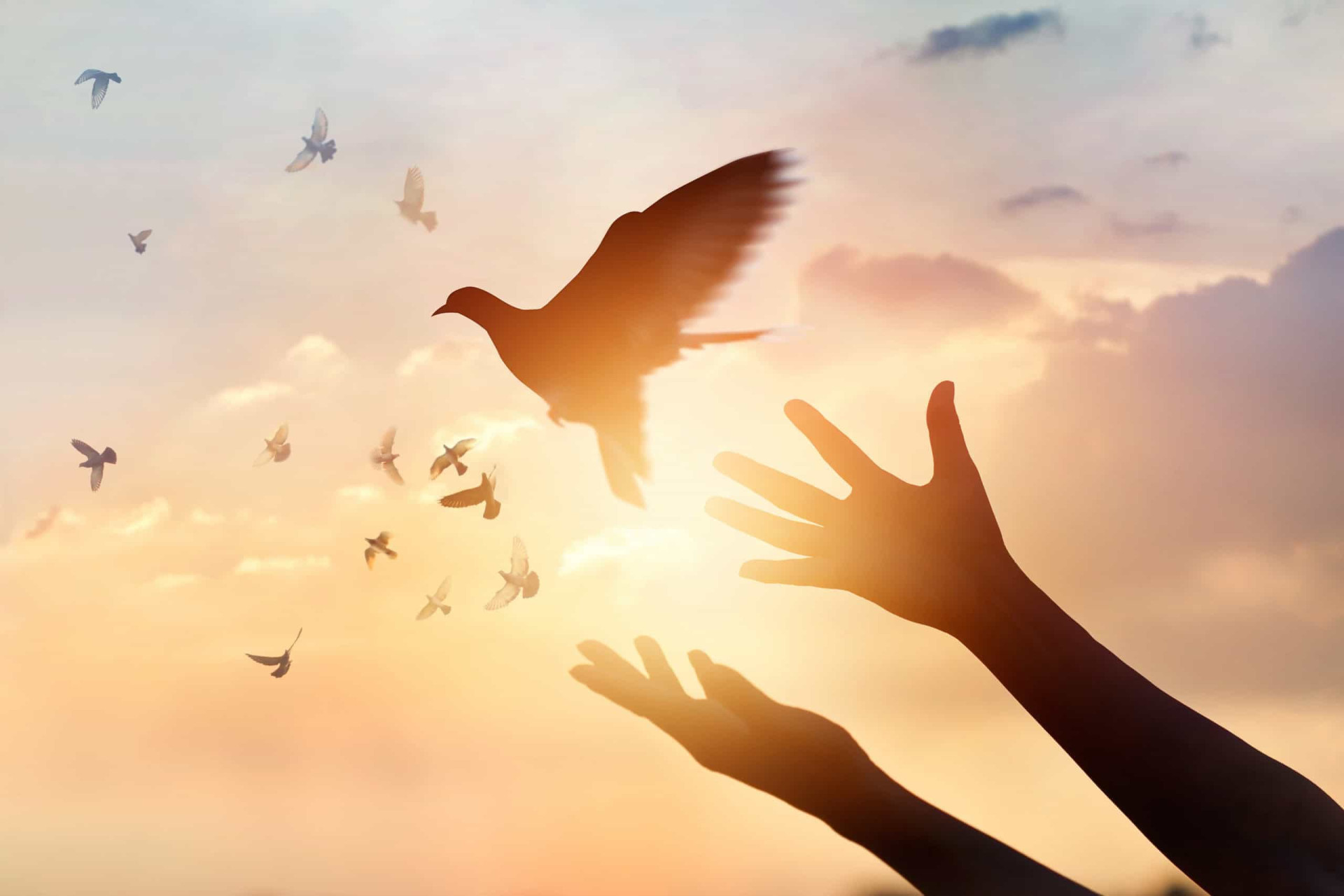 Ces obscures religions aux croyances particulières