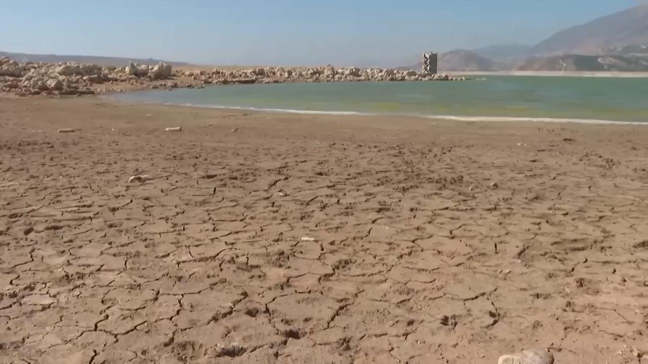 Worst drought in decades threatens food and water security in Syria and ...