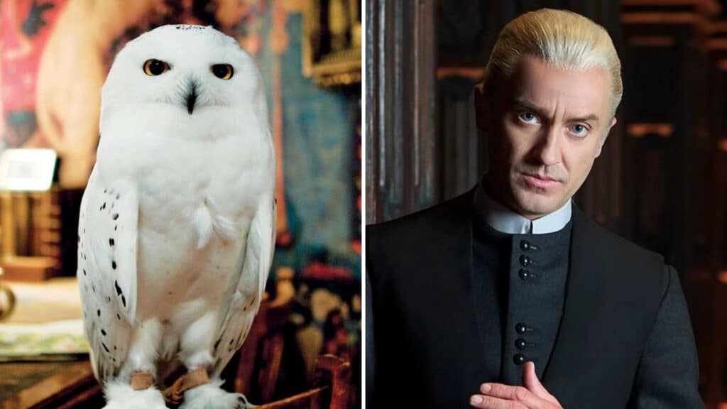 20 Cultural References We Found in Harry Potter