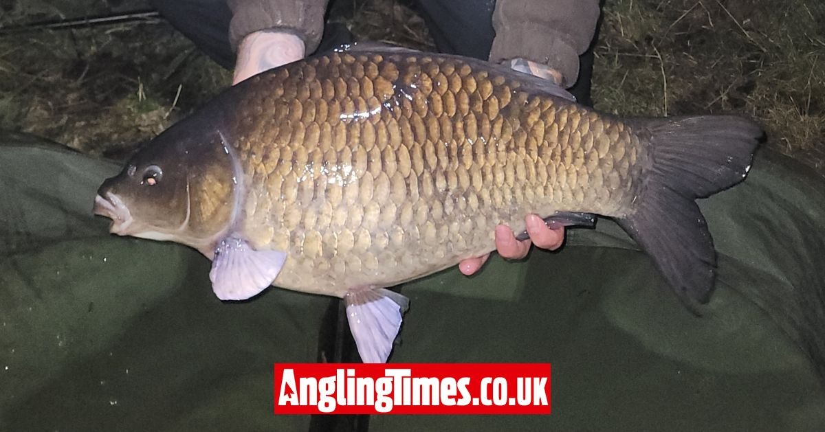 Giant F1 carp is one of the biggest ever landed