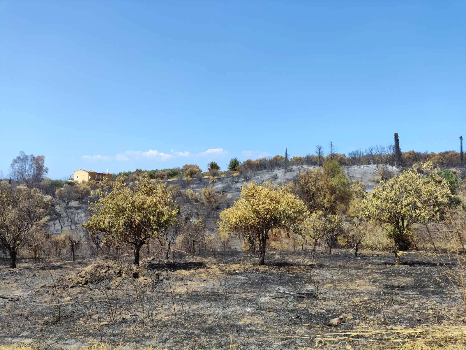 Καμενίτσα Αλισσού: Στέρεψαν οι βρύσες και η… υπομονή τους – Πάνω από 10 ...