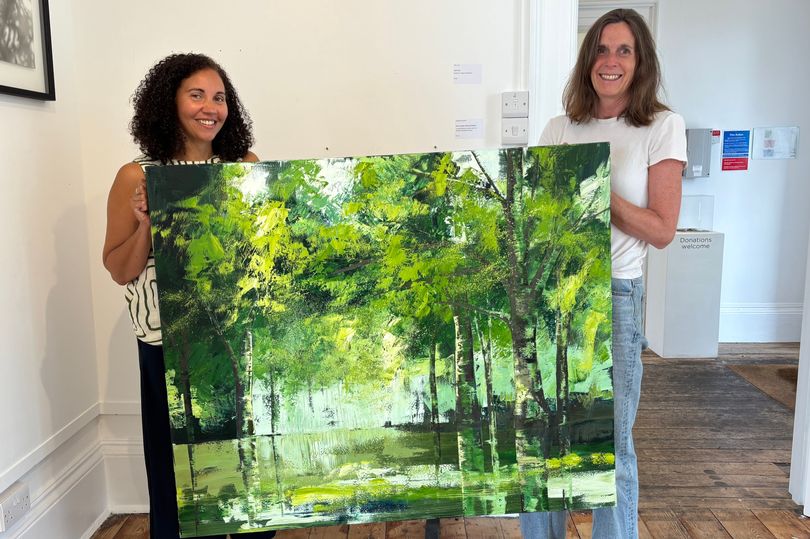 Visitors crown Devon painter winner of regional art gallery award