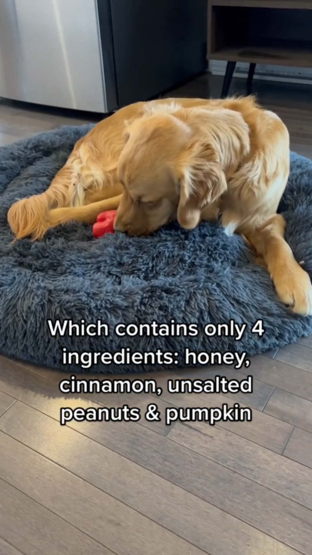 Turned A Veggie Into A Fun Dog Enrichment Toy