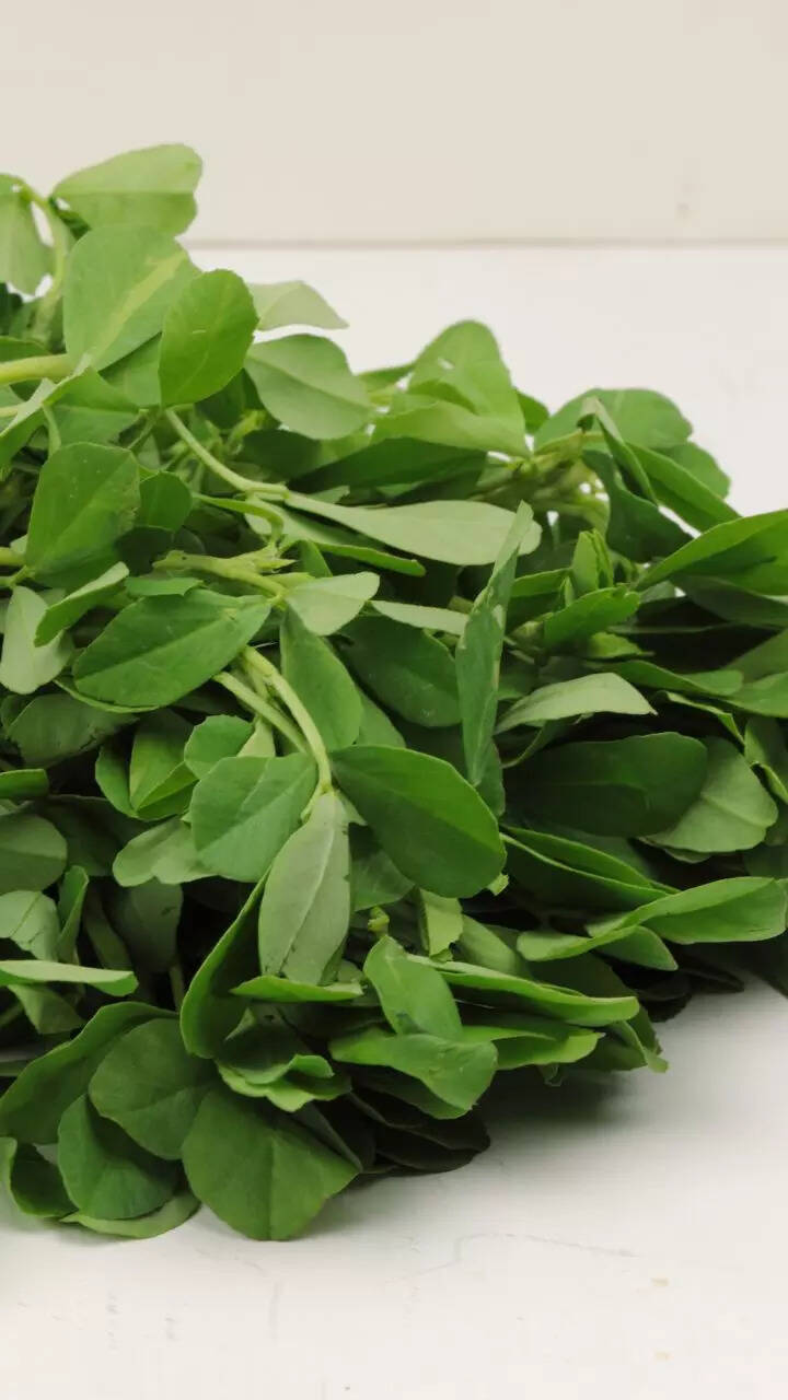 How to grow fenugreek (methi) in balcony garden