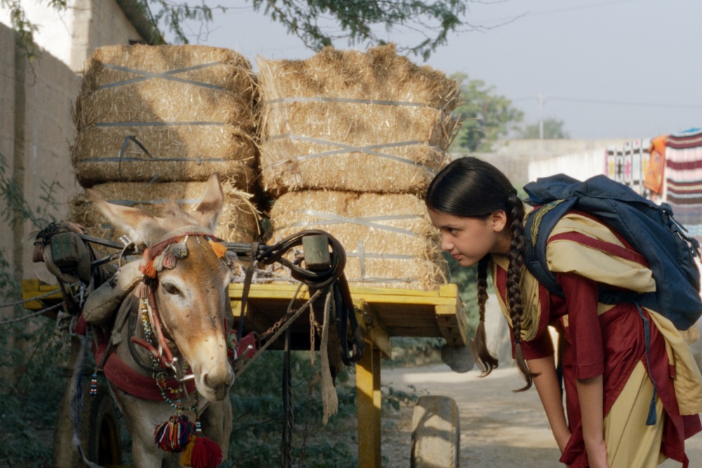 Pakistani Drama ‘Ghost School' Picked Up by MPM Premium Ahead of ...