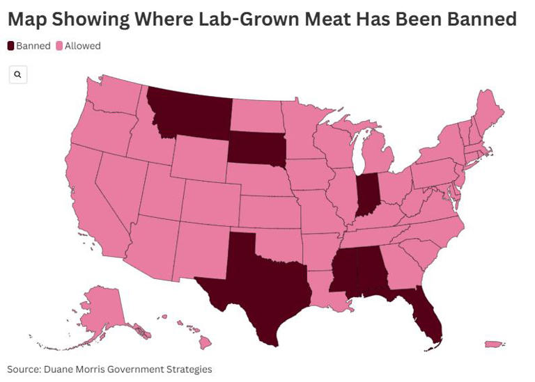Map shows bans on lab grown meat as Texas changes law