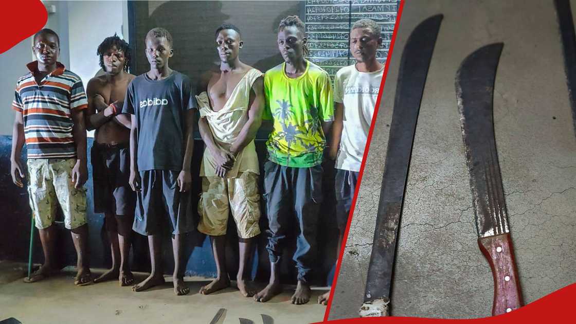 Malindi: Police arrest 8 notorious 'Team Nati Dread' gang members ...