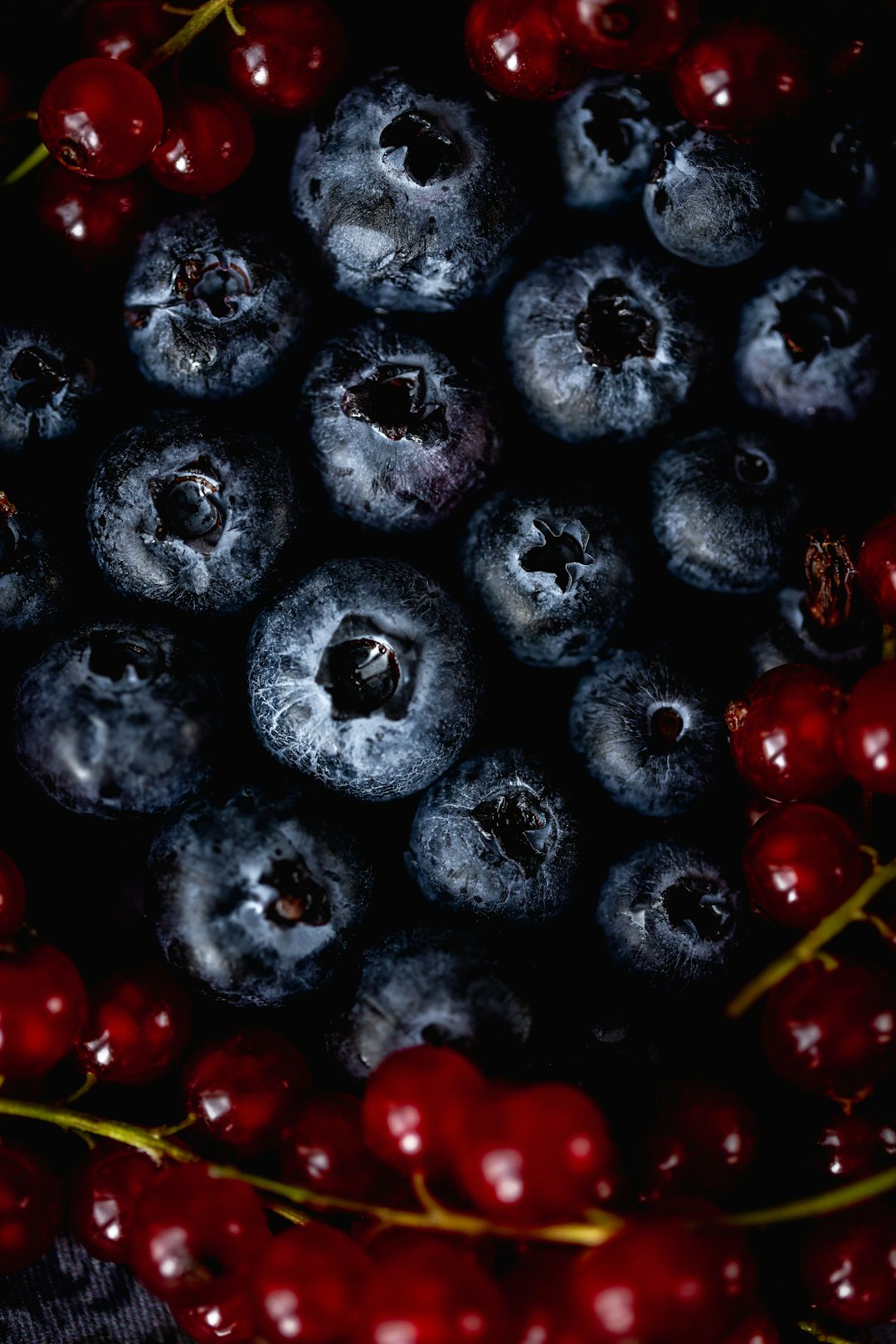 How Berries Support Immune System Function