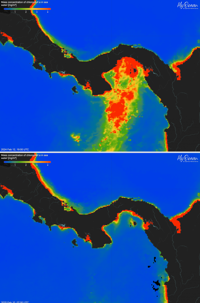Marée luminescente en Australie, arrêt inquiétant de l'upwelling au ...
