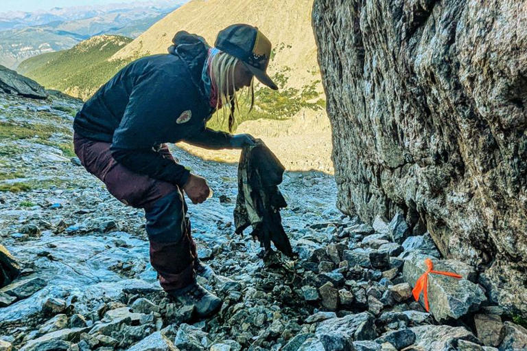 'Religious' mum missing for 19 years found after pastor has 'a ...