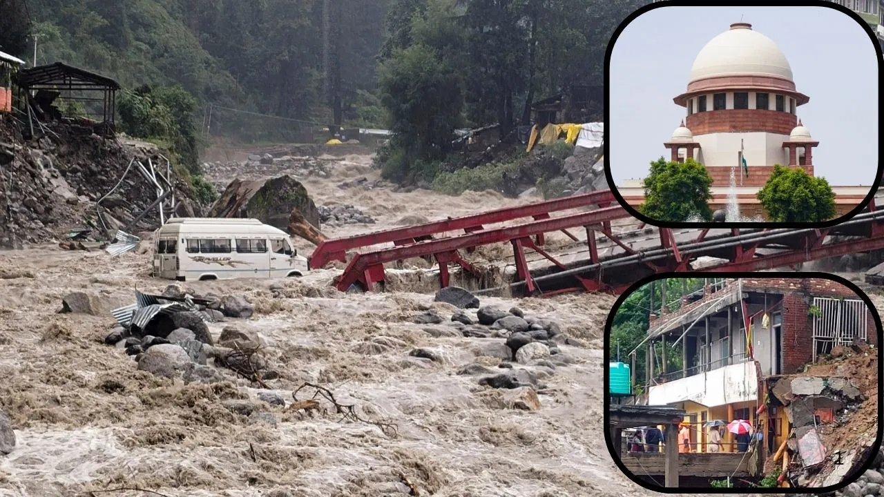 Illegal Tree Felling Behind Flood Havoc? Supreme Court Slams States ...