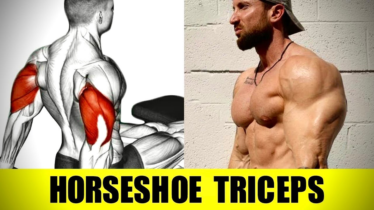 Five must-do exercises for building horseshoe triceps