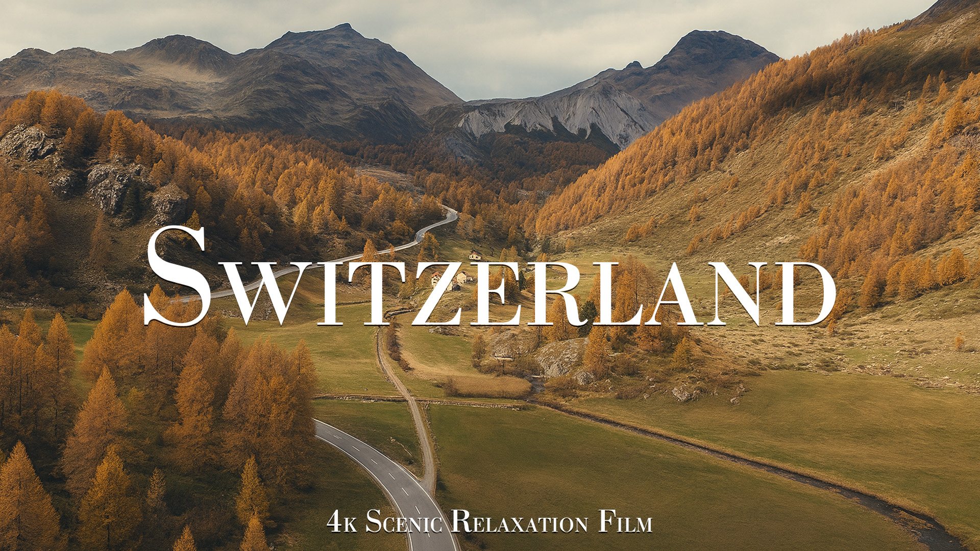 B.C. coroners' 'virtual' visits under scrutiny after delayed discovery ...