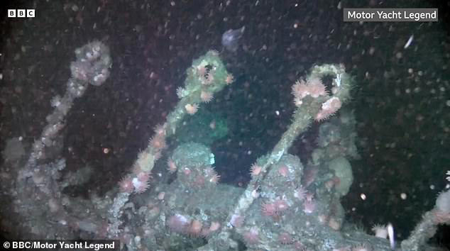 See Captain Scott's ship like NEVER before: Scientists film the polar ...