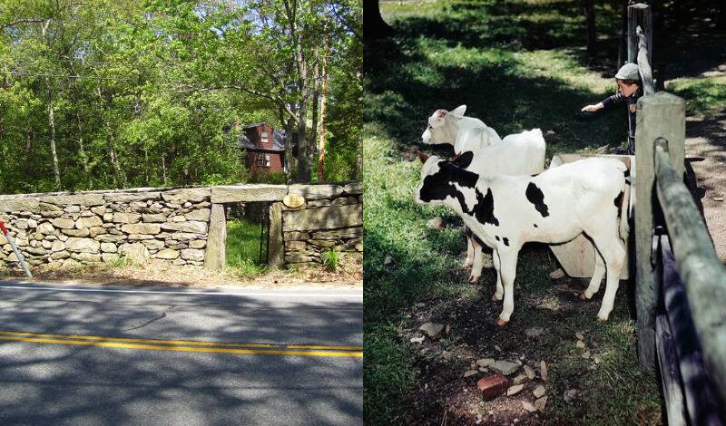 The history behind New England's mysterious stone enclosures