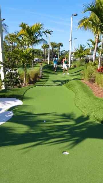 A birdie at Tiger Woods mini golf