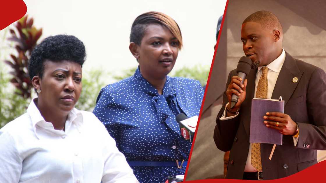 Karen Nyamu, 3 other Nairobi MPs ask Sakaja address MCAs' issues after ...