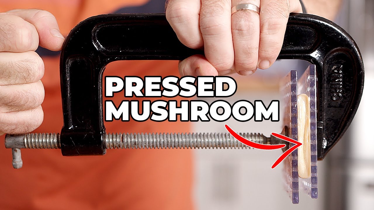 Should YOU PRESS your MUSHROOMS?