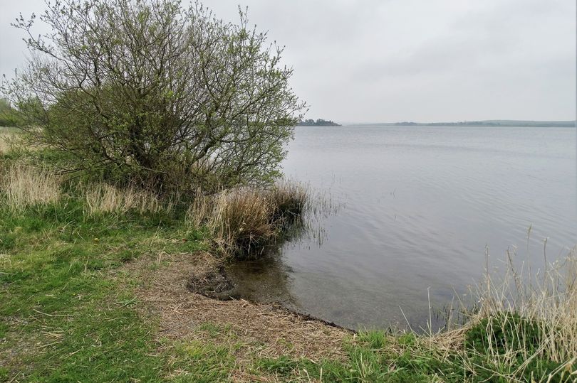 Giant Anglesey solar farm poses 'unacceptable risk of contamination'