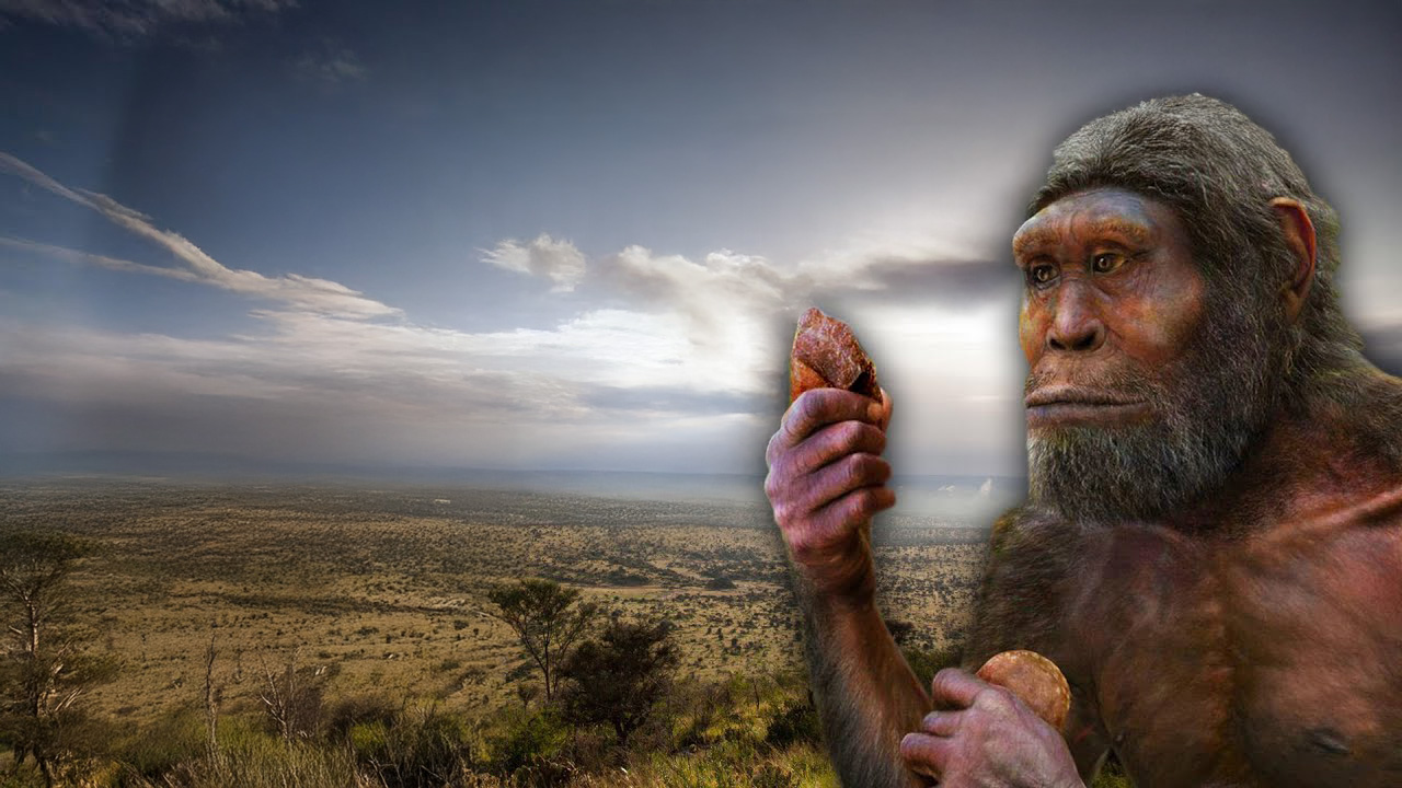 3.3 Million Years Old: Stone Tools That Predate Every Human Species