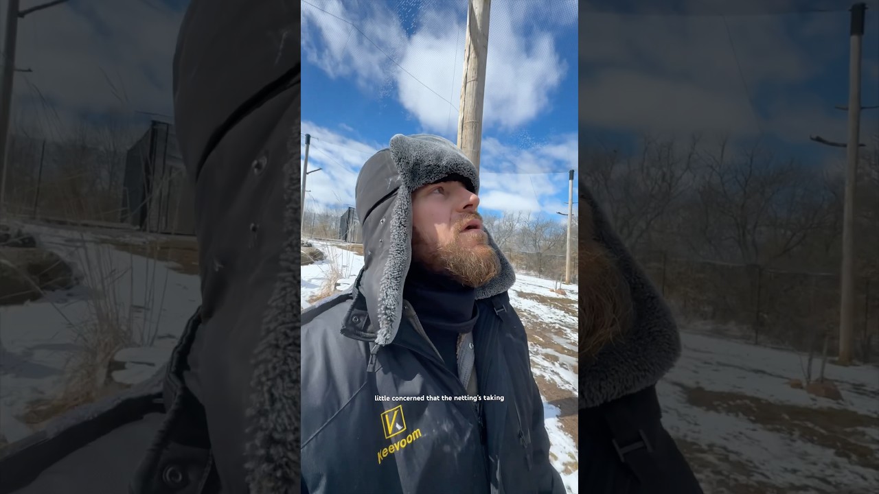 High winds damaged the aviary cables