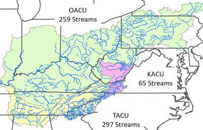 Planned environmental rule changes threaten beloved Eastern hellbender ...