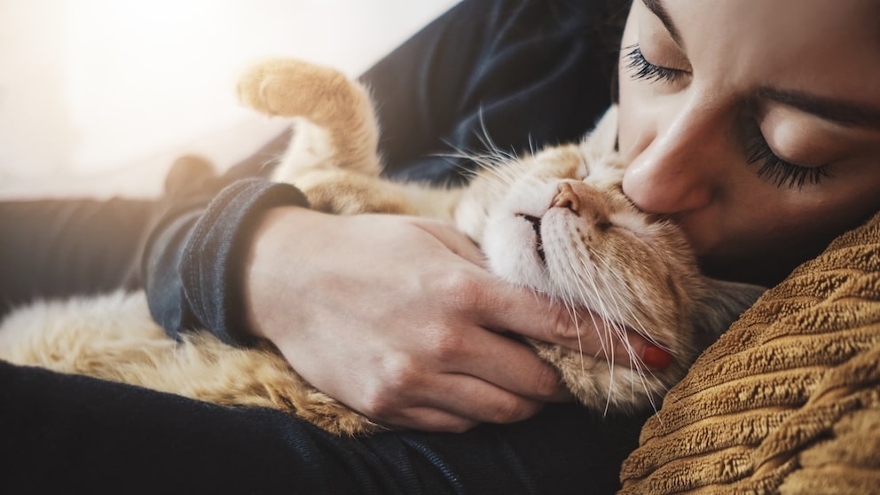 Cat Fur Smells Nice, but Mouth Stinks–Why?