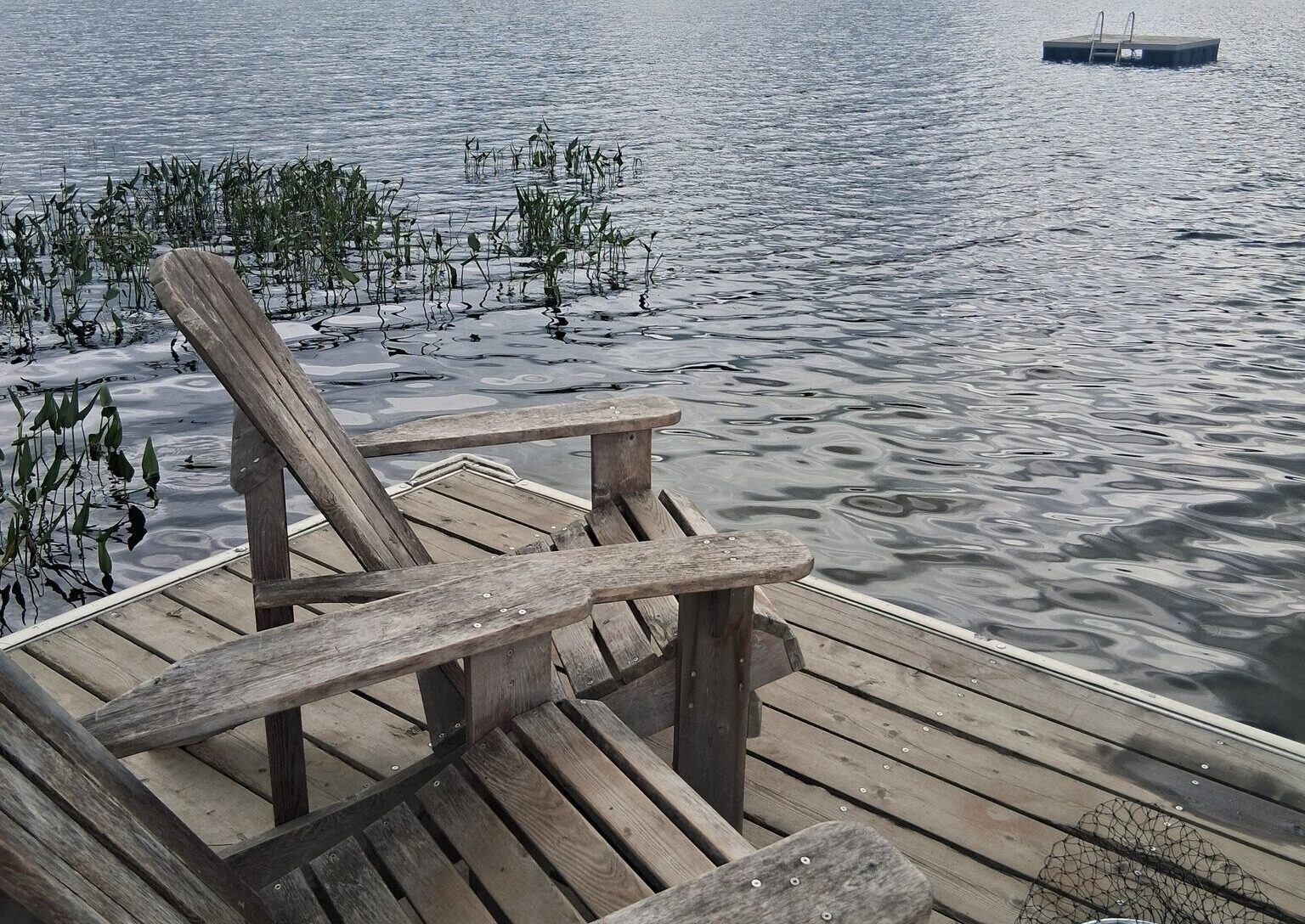 'Fall' in Love with New England This Season